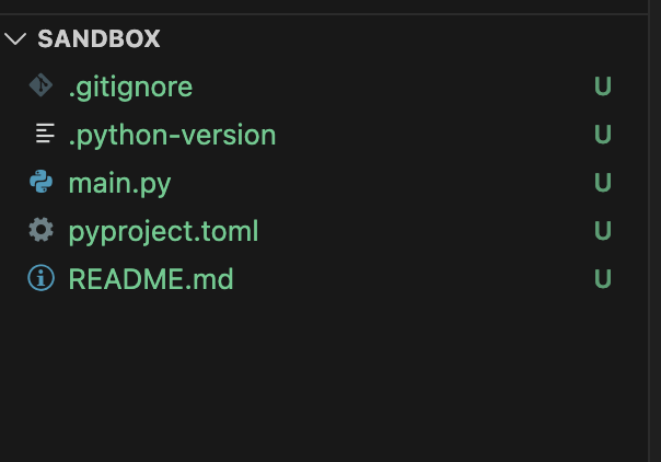 Getting Started with UV: The Modern Python Project Setup Guide