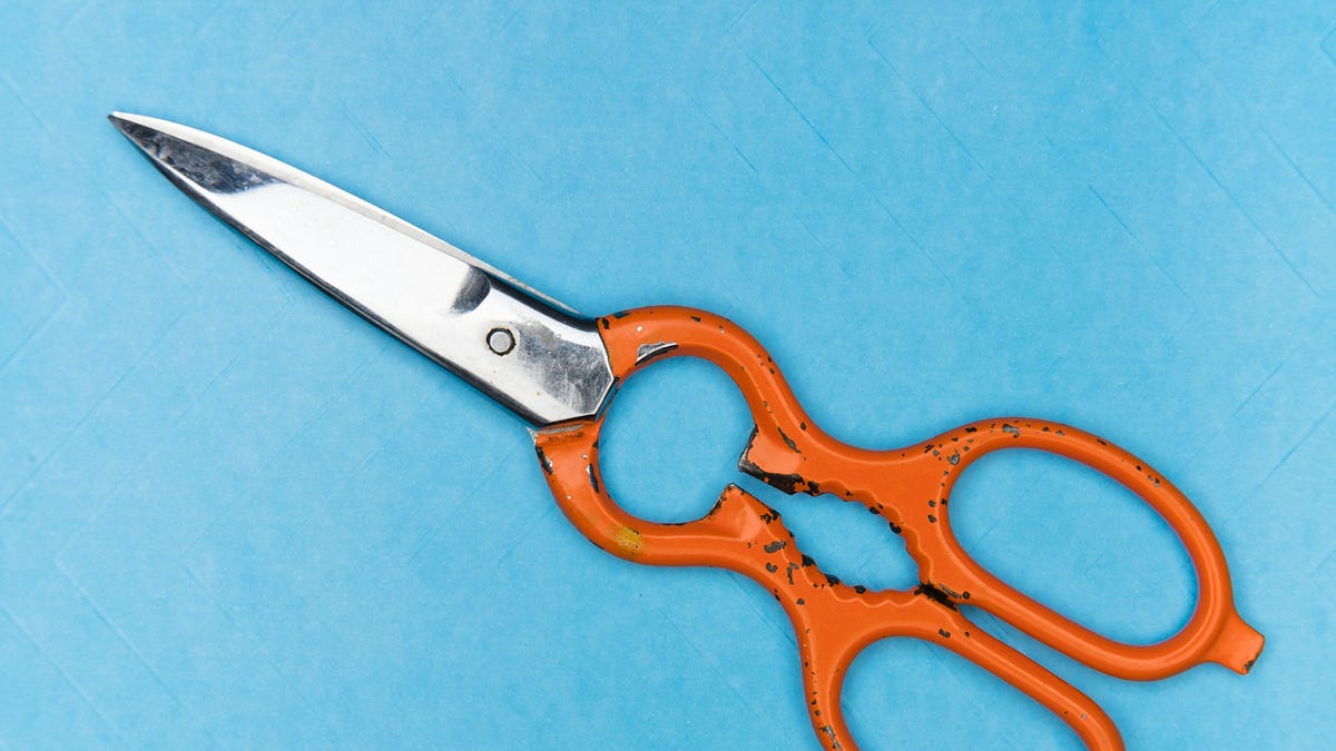 Ruthlessly Trim the Fat - by Alex Baia - Comedy Bizarre