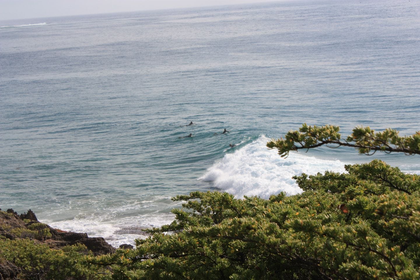 MOCAMBIQUE - by Stefni Muller - Little Travels