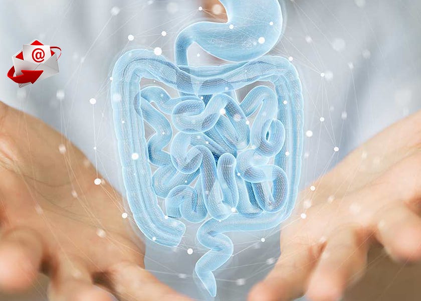 The Importance of Butyrate for Digestive Health