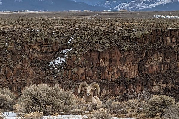 Our Uncertain Future | Johanna DeBiase | Substack