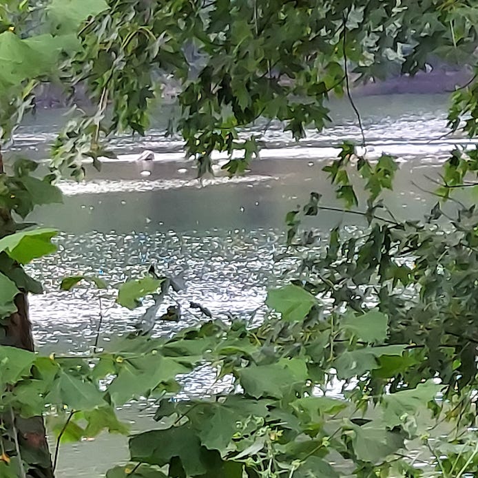 Waving from a Distance | Substack