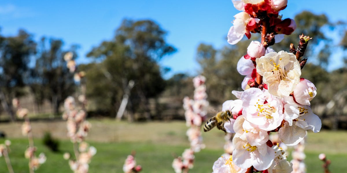 The rising growth (and panic) of spring.