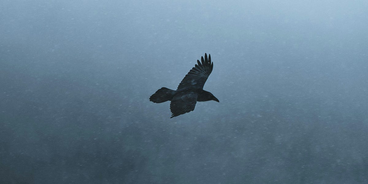 Introducing: Omen GME - The Random Refuge