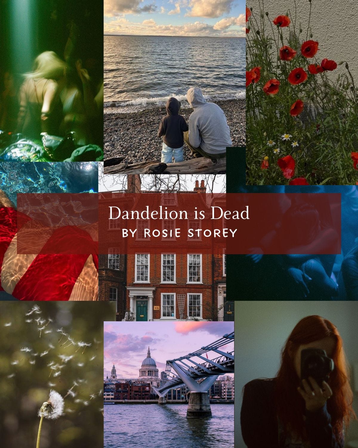 Dandelion is Dead | Book Review - by What Emily’s Reading