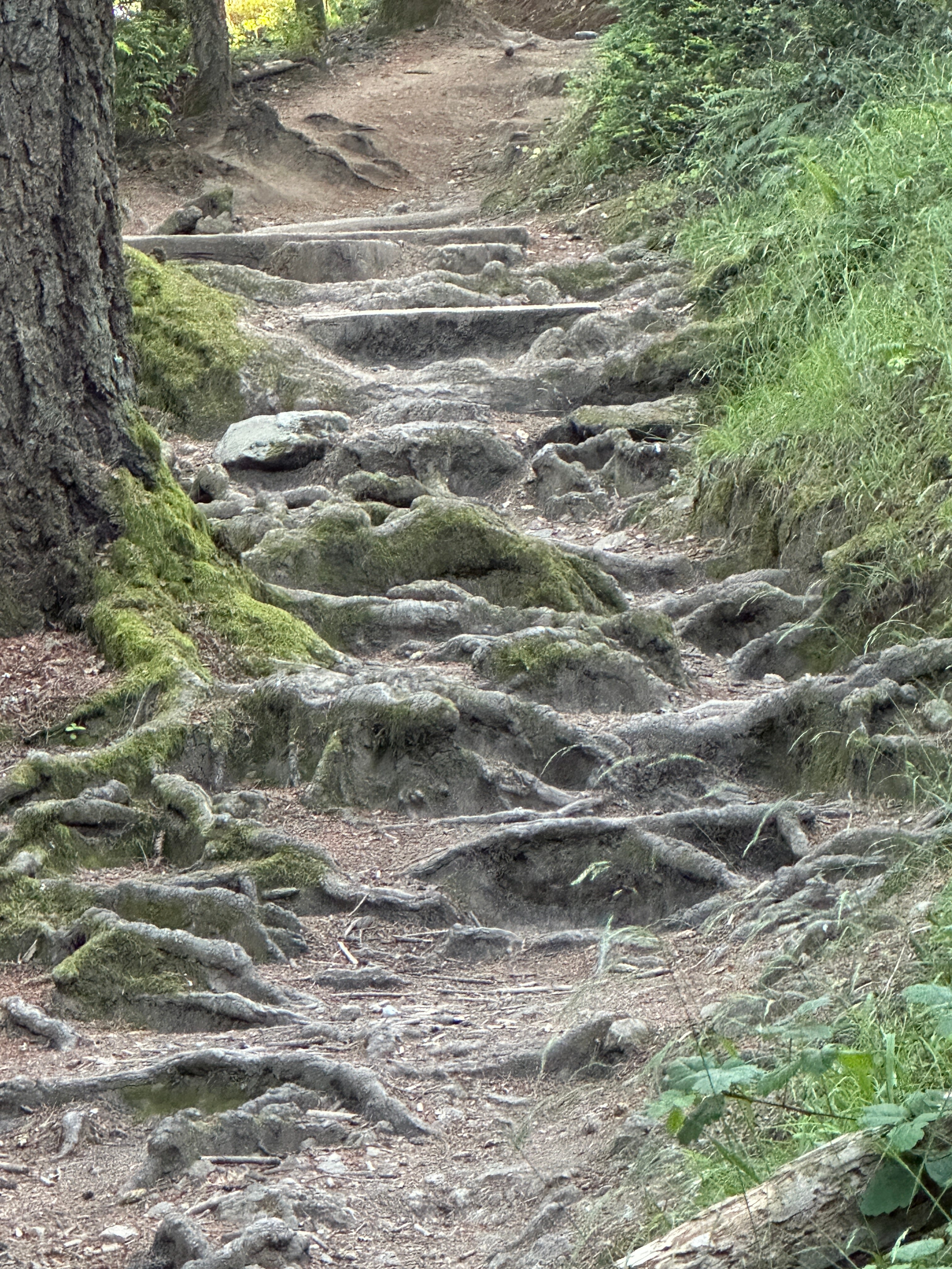 The Best Sports Moment of My Life