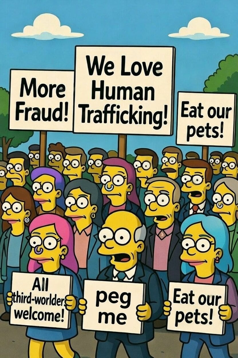 CIVIL WARsteria: Best Minneapolis Anti-ICE Riot Memes