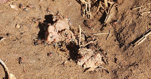 Archive - The World According to Fast Eddy