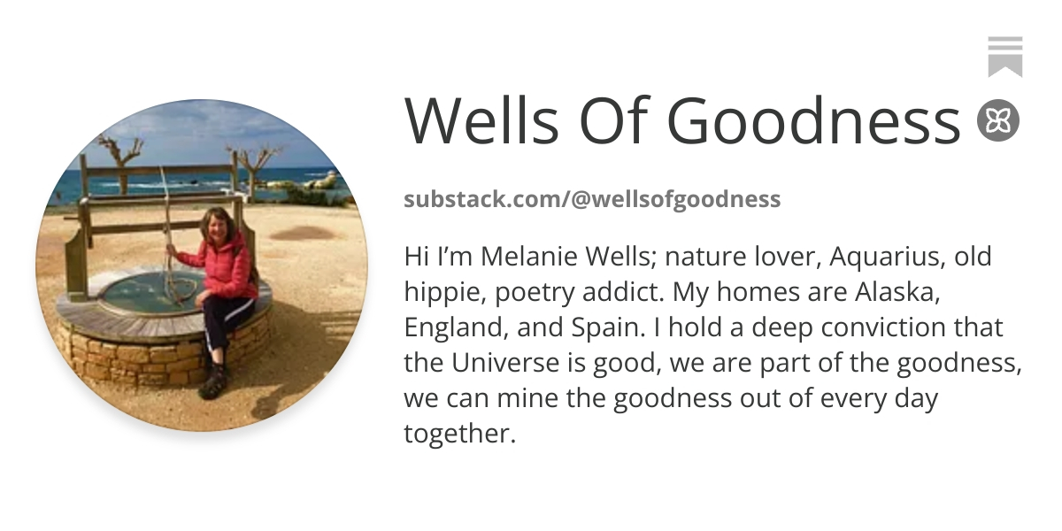 Wells Of Goodness | Substack