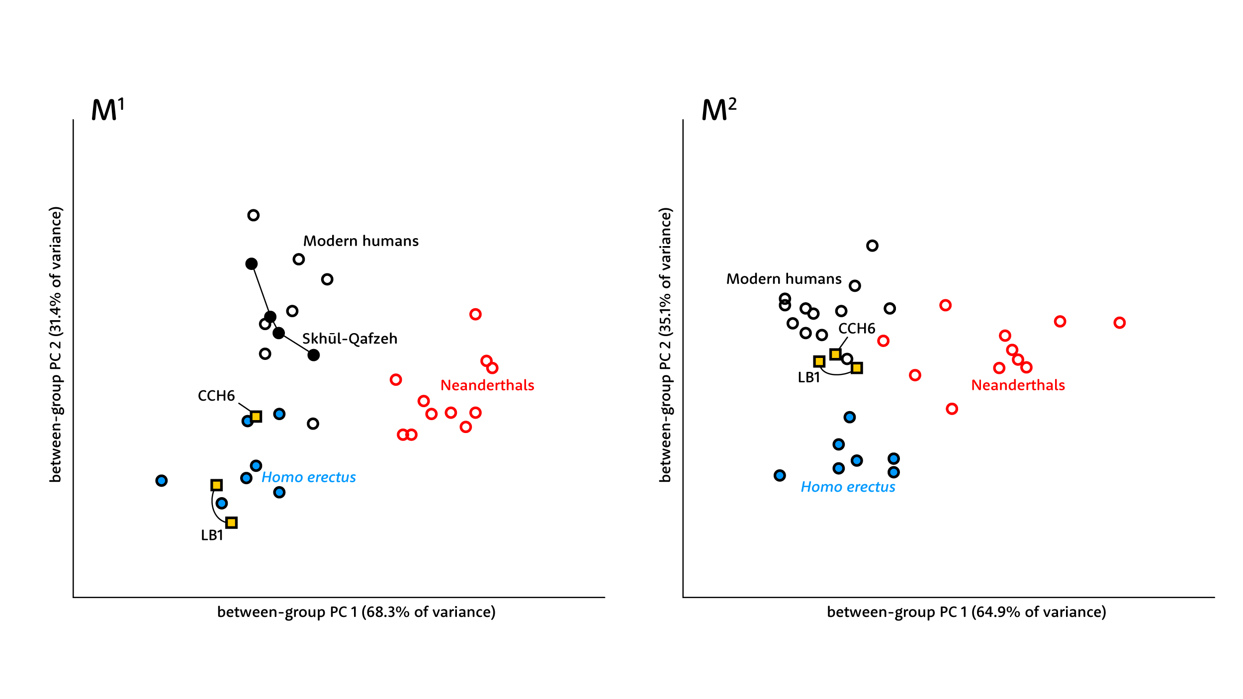 New insights into the biology of Homo luzonensis