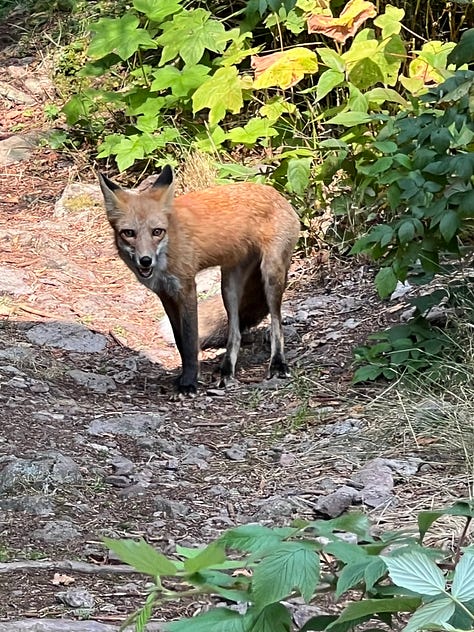 Isle Royale 5 Day Self Contained Hike