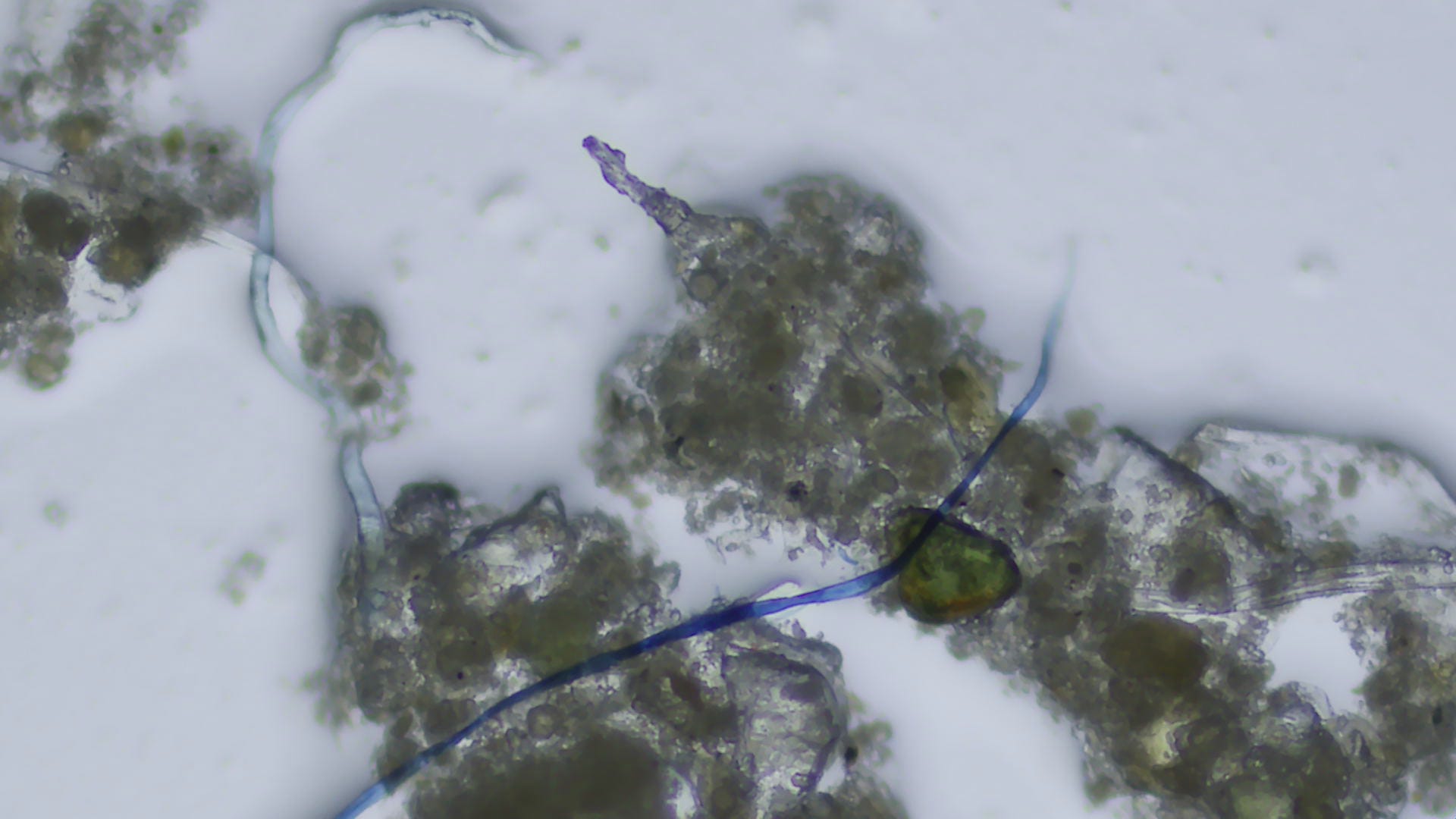 Update to "Tony Pantalleresco's AntiNano Bucket Works!" (Originally ...