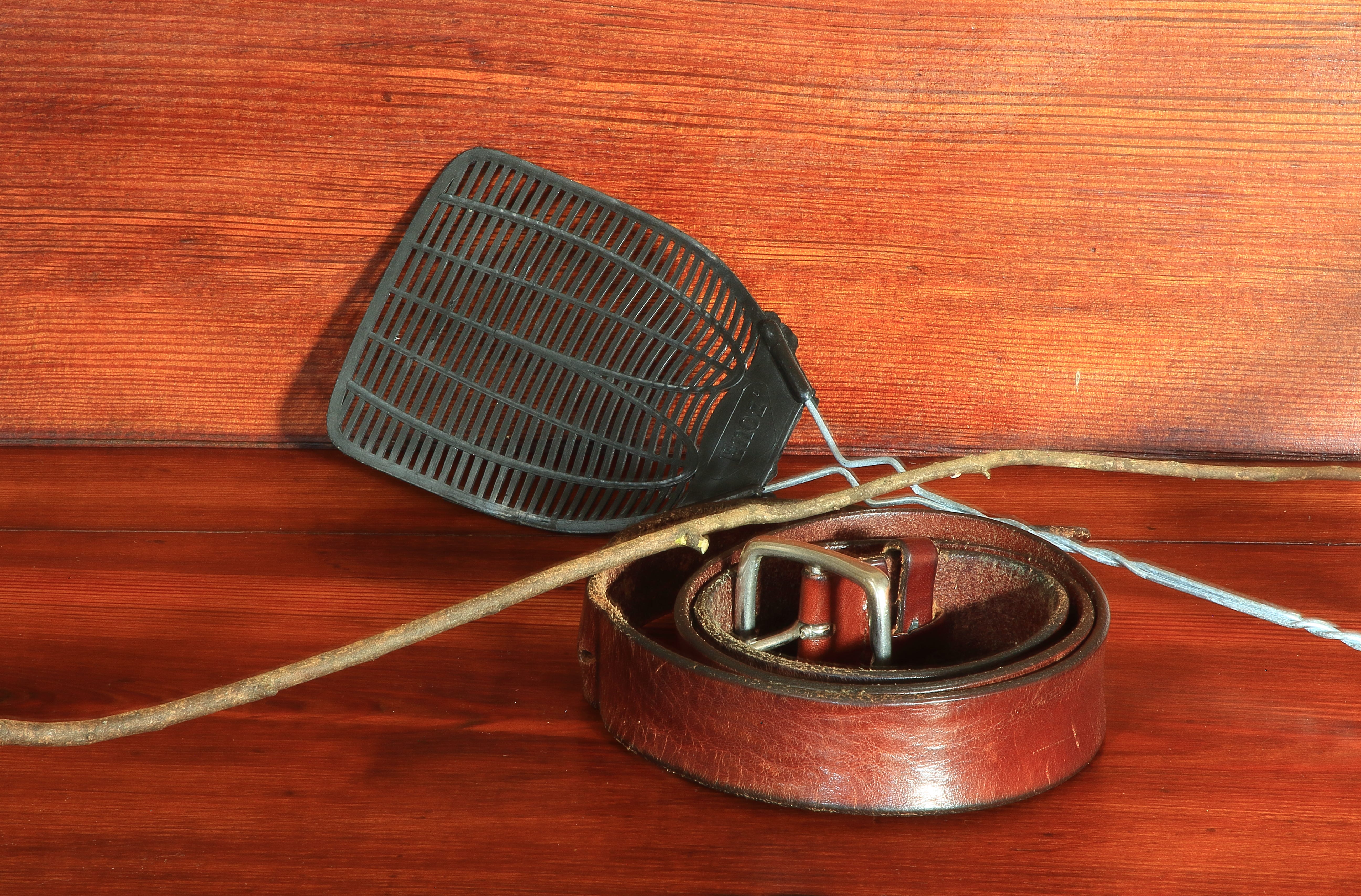 A Good Whooping - Tom Poland: A Southern Writer