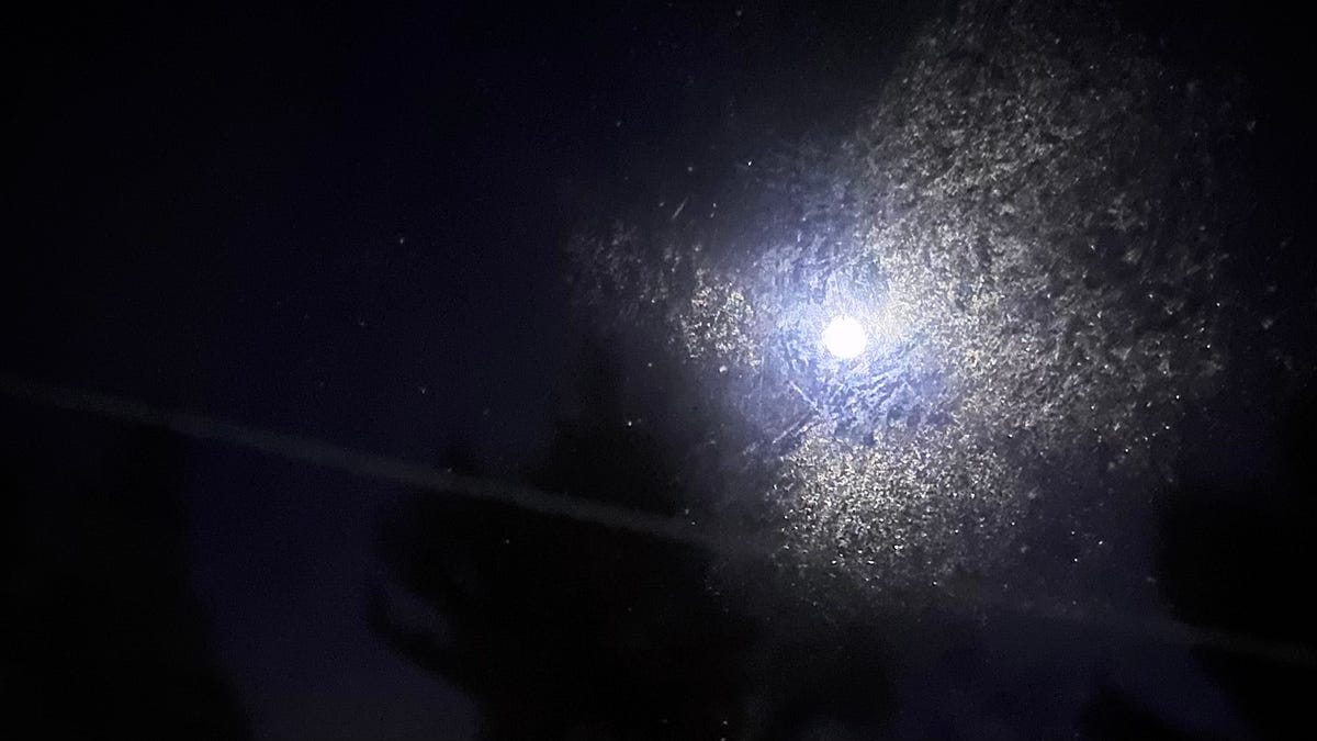 alone with the moon - by t.j. zhang - my life in a nutshell