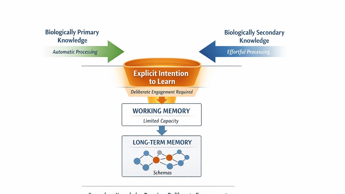 effortful processing
