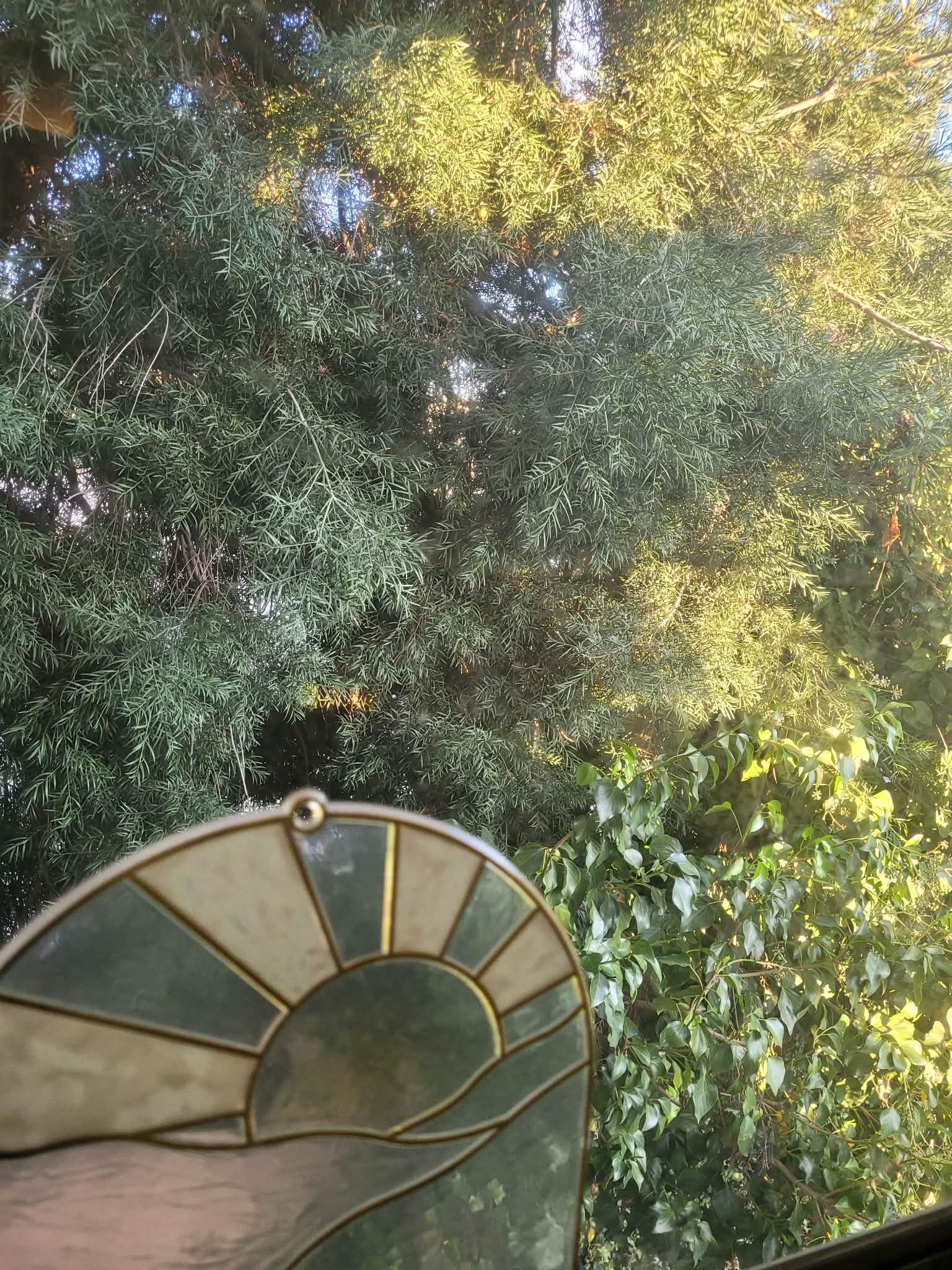 God Makes the Earth Beautiful - by Luke Y. Thompson