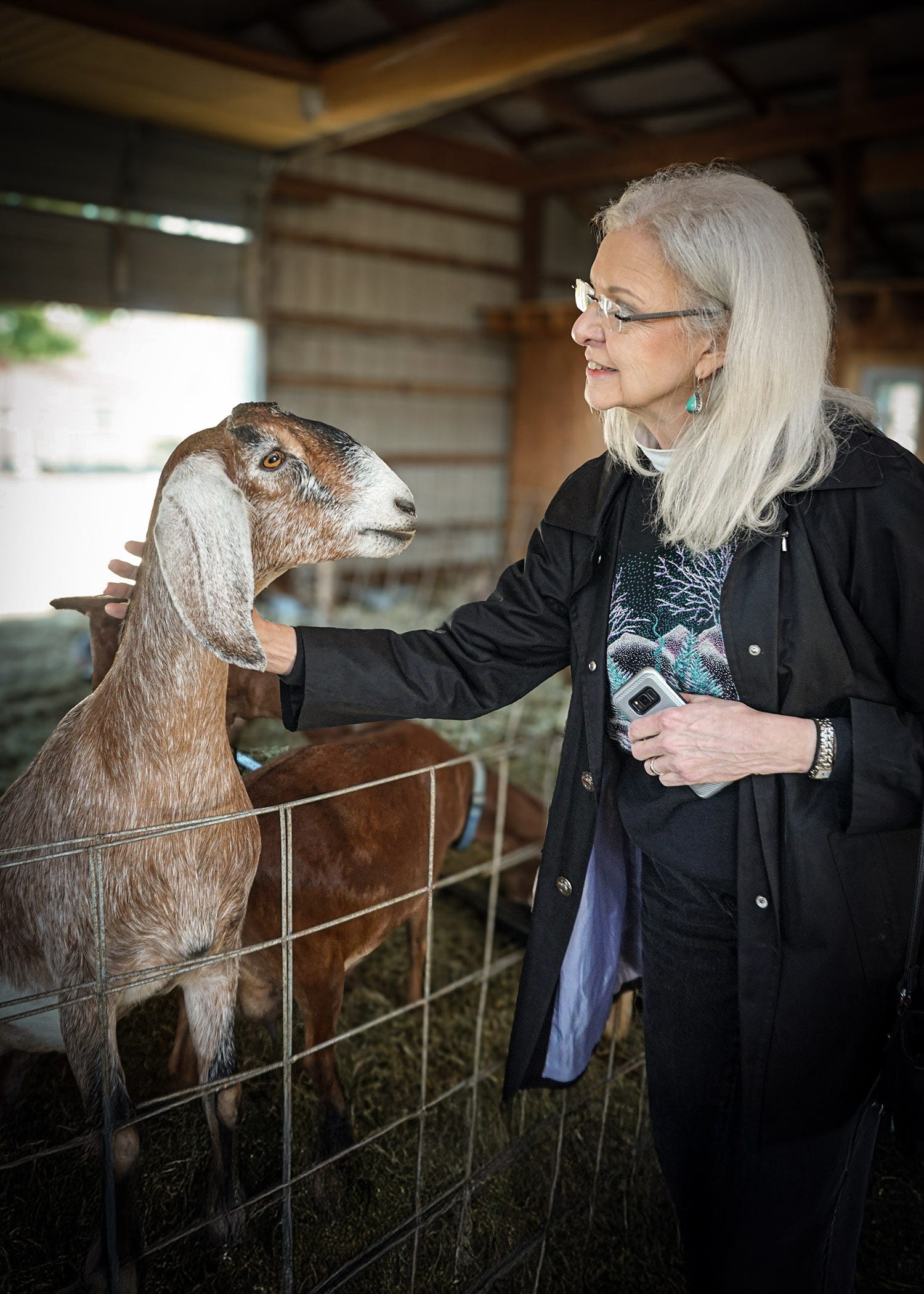 Gentleness - by Jim Mathis - As I See It