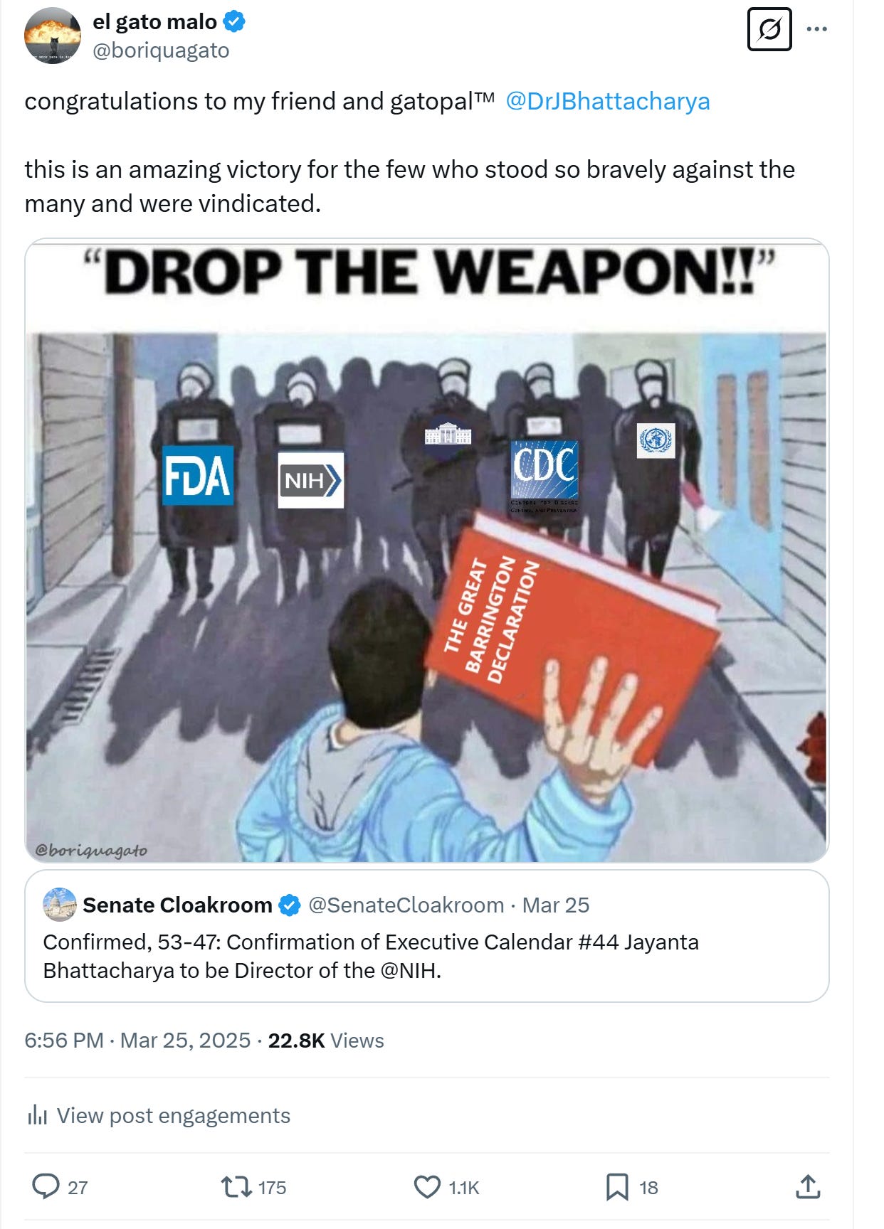 bad cattitude turns 4 - by el gato malo - bad cattitude