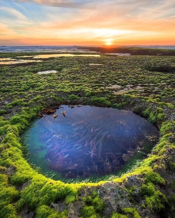 One crowded pond - by Matthew J Shribman