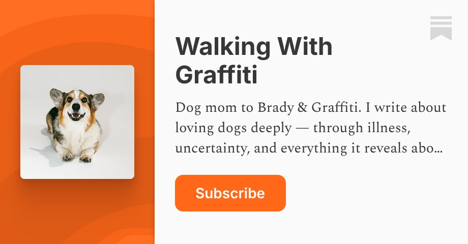 About - Walking With Graffiti