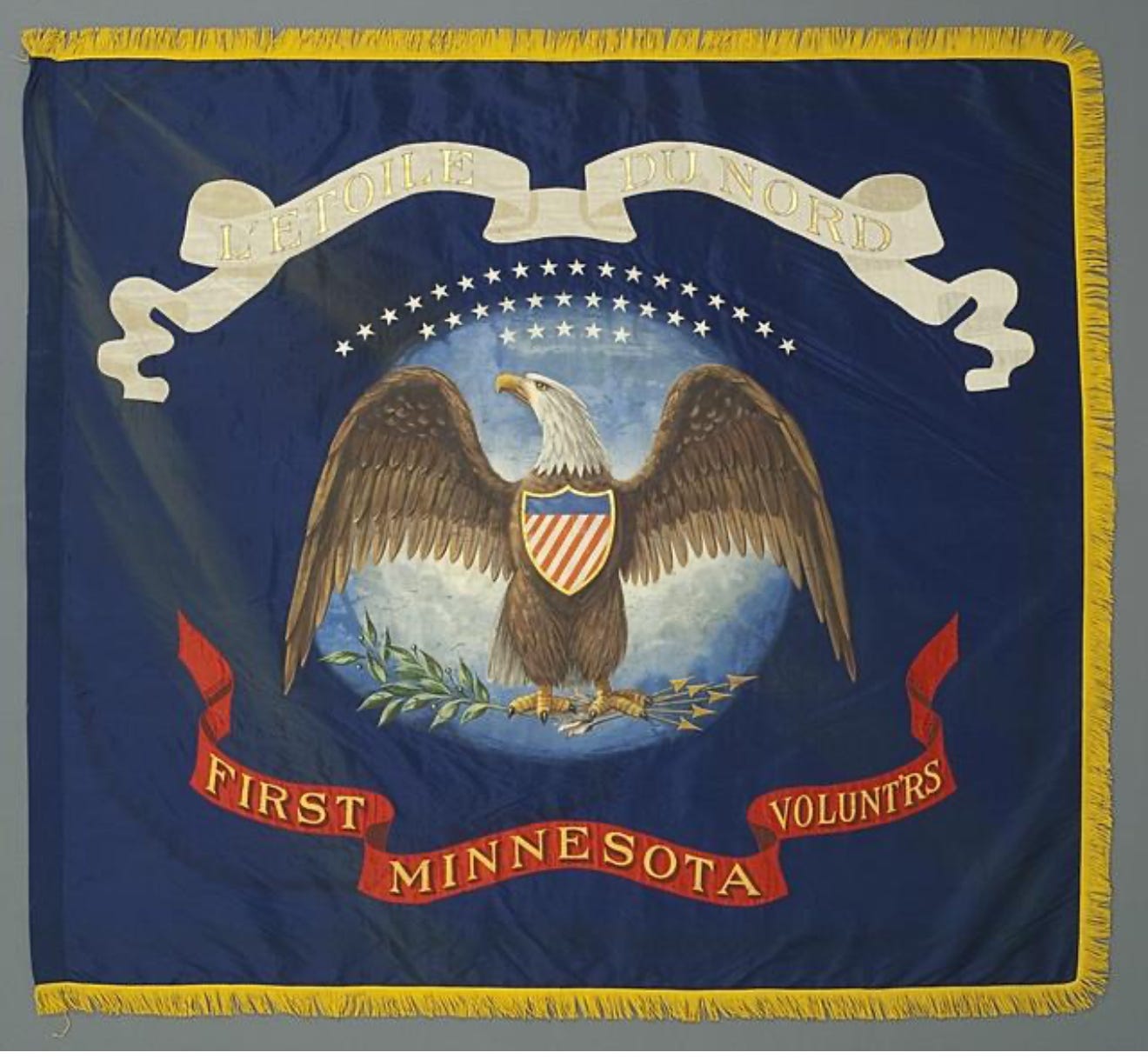 Thank you, Minnesota - The Warning with Steve Schmidt