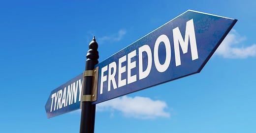 The Mel K Show | Substack