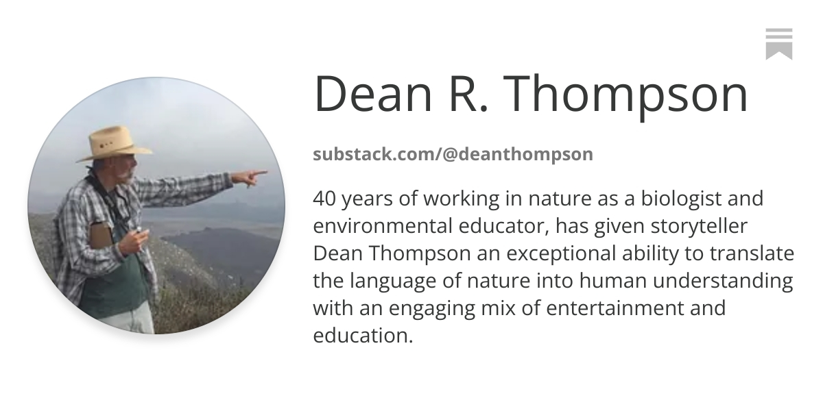 Dean R. Thompson | Substack