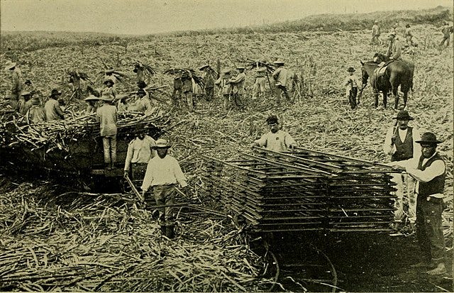 The Great Oahu Sugar Strike of 1920 Part 1