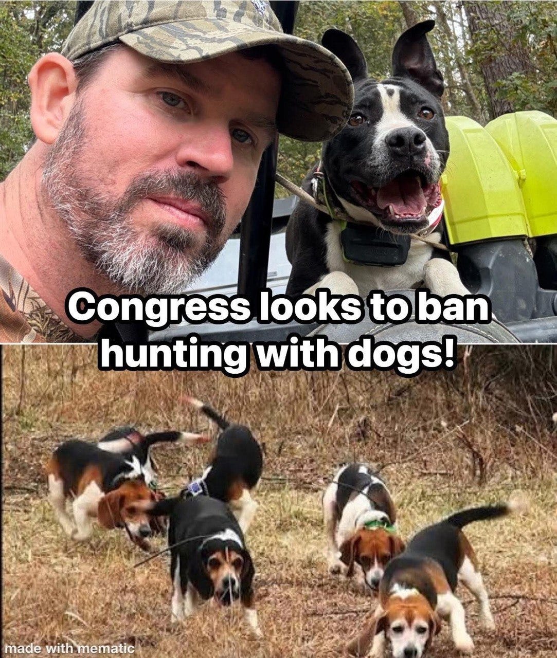 Inside the Farm Bill lies an Amendment No One is Talking About: Banning ...