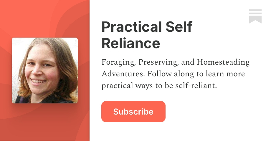 Practical Self Reliance | Ashley Adamant | Substack