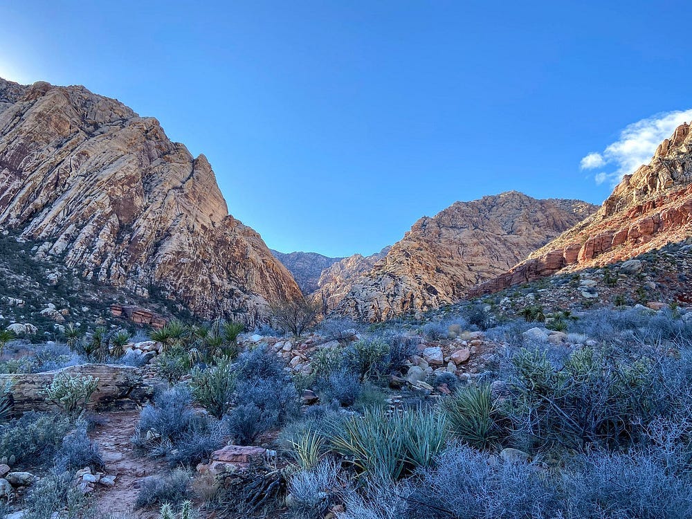 Las Vegas and the Southwest’s Water Reckoning: Scarcity, Strategy, and ...