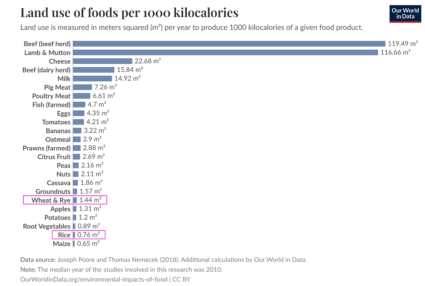 How Bread vs Rice Molded History - Reality Nexus