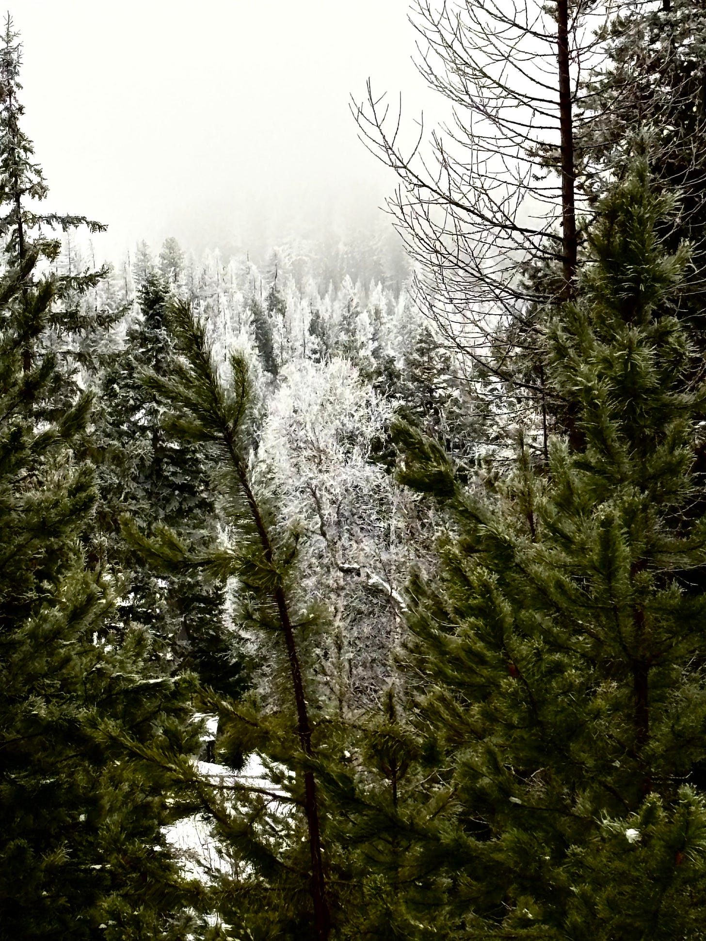 When You Don’t Know What You’re Doing - by Gene Maynard