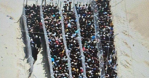 Eva Karene Bartlett | Substack