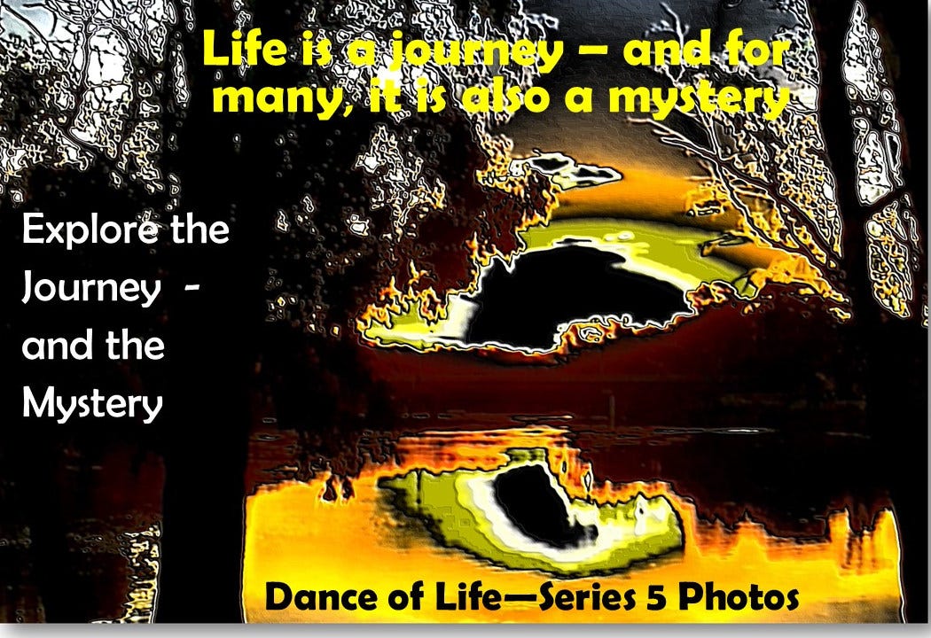 The Dance of Life - Series 5 - by Bob Neville