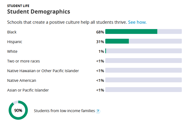 Future Felons Of America: Chicongo Chapter – Dissident Thoughts