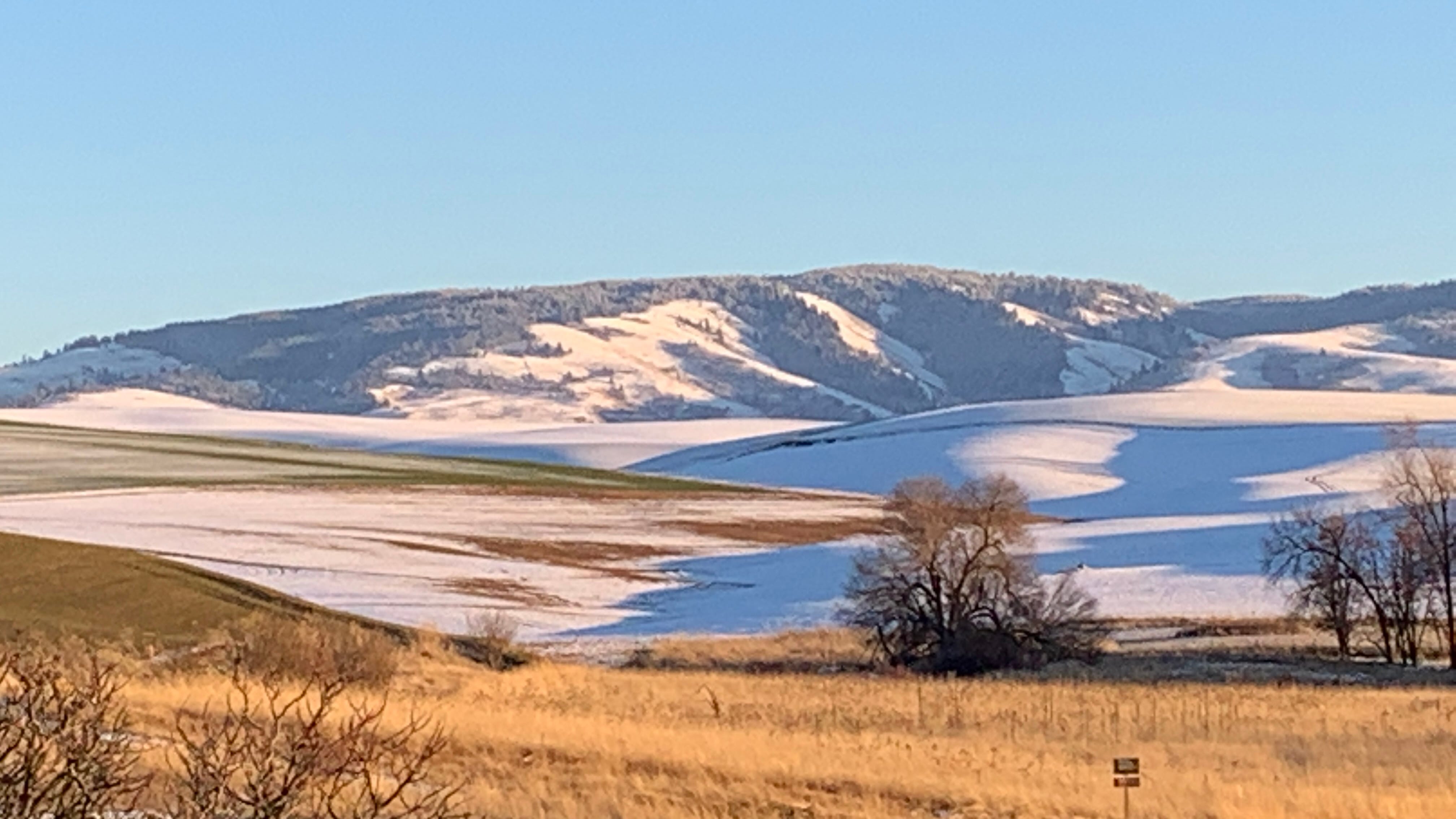 Jeff Luth | Substack