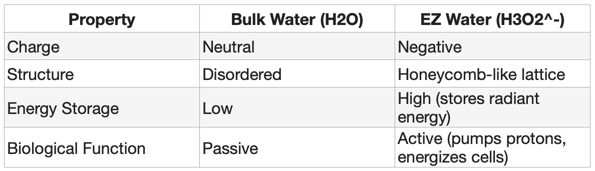 What MRI Machines Know About Water That Most Doctors Don’t