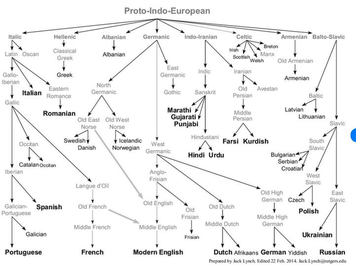 The Origin of Language, a forbidden question