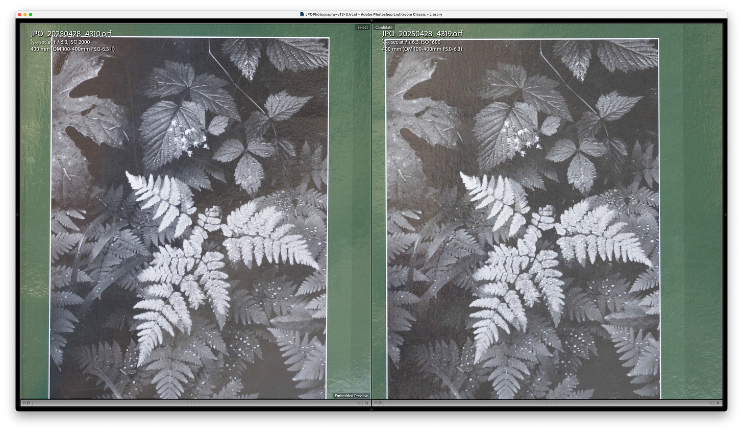 OM System 100-400mm f/5-6.3 Mk II Hands-On Review