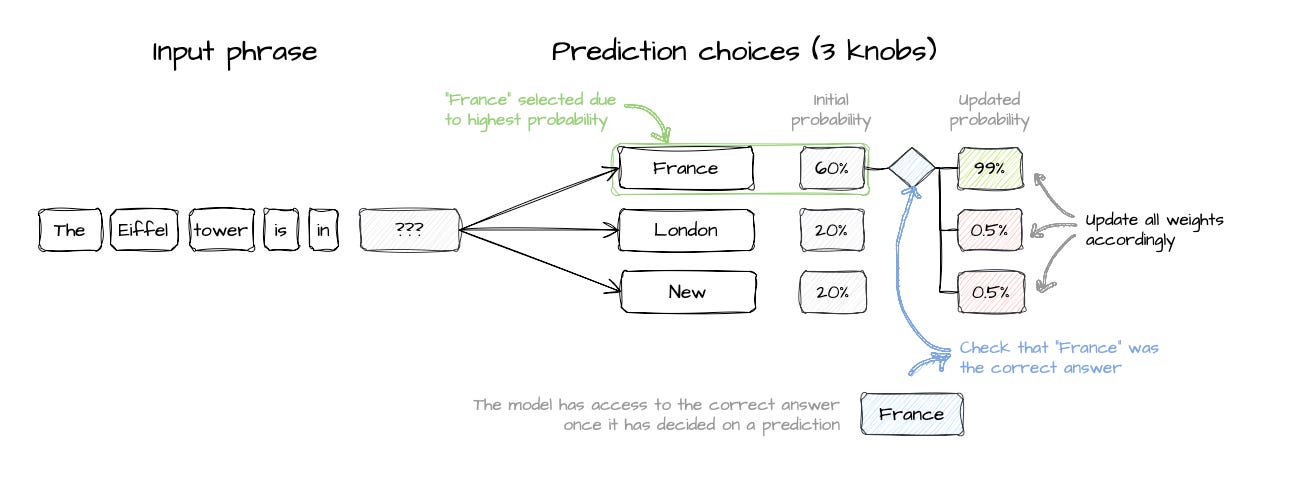 How LLMs Learn: From Tokens to Training