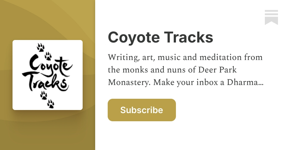 Coyote Tracks | Substack