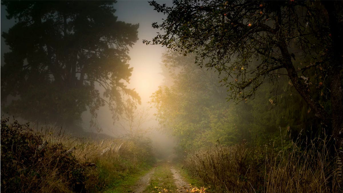 The Transfiguration of Jesus as Contemplative Transformation: A ...
