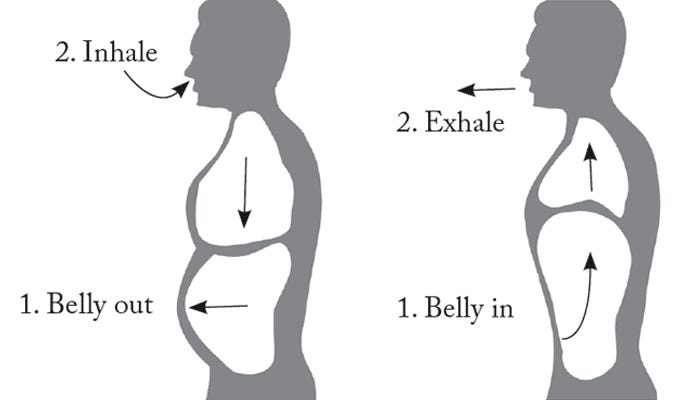 Belly Breathing vs. Optimal Breathing: The Truth You Need to Know
