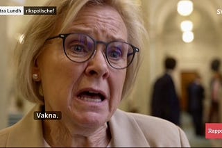 Katten mot strömmen – Katerina Janouch | Substack