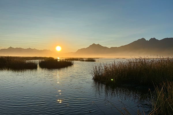 Must Read Alaska | Substack