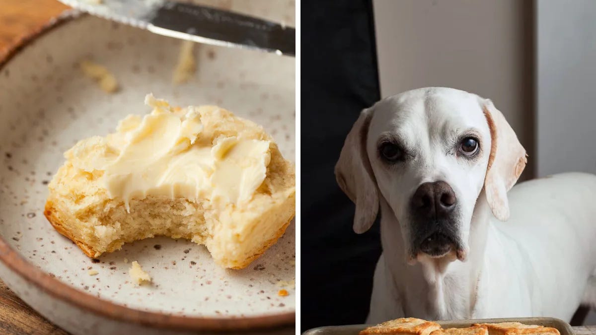 The Gluten Free Inside Scoop - Sunday Edition