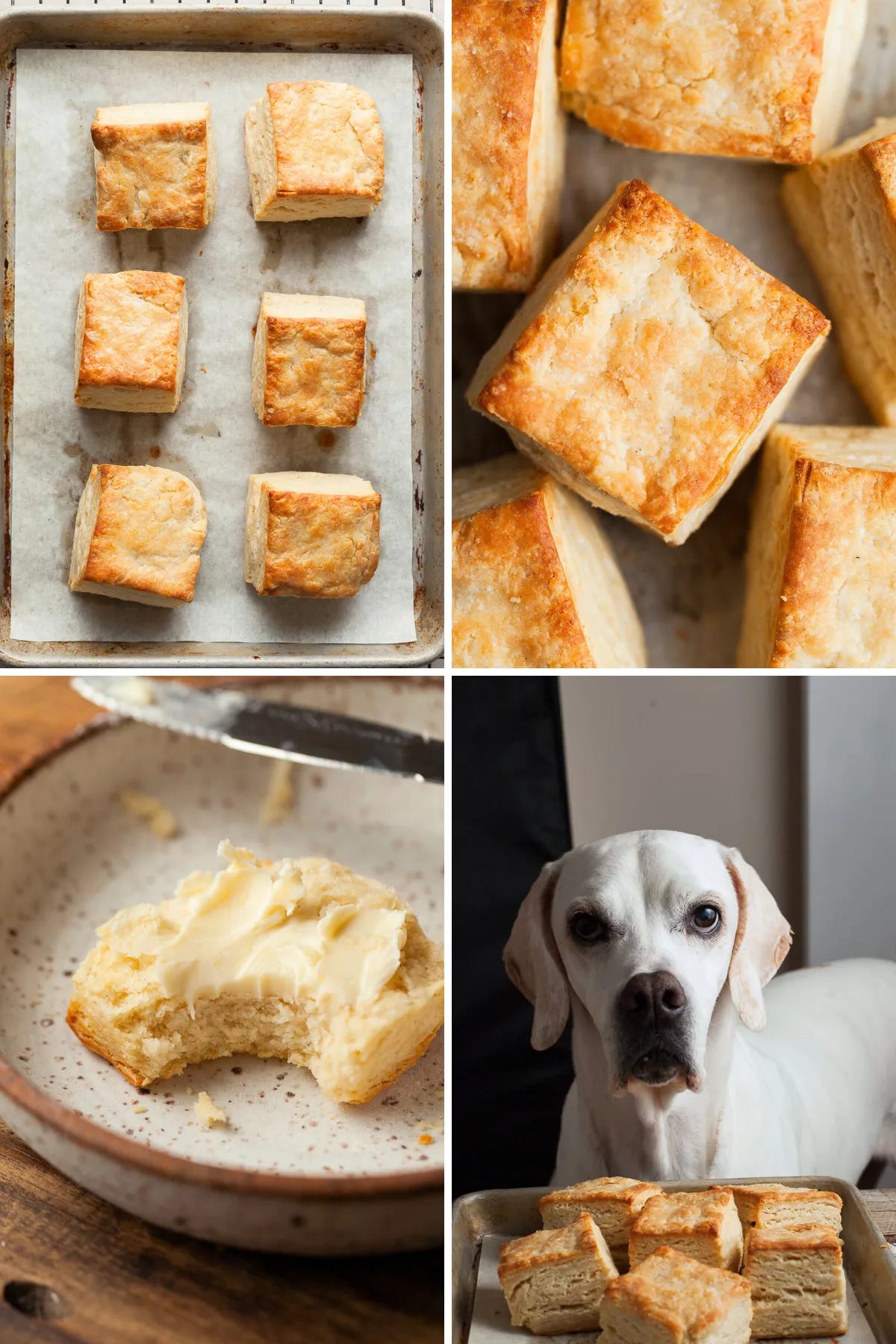 The Gluten Free Inside Scoop - Sunday Edition