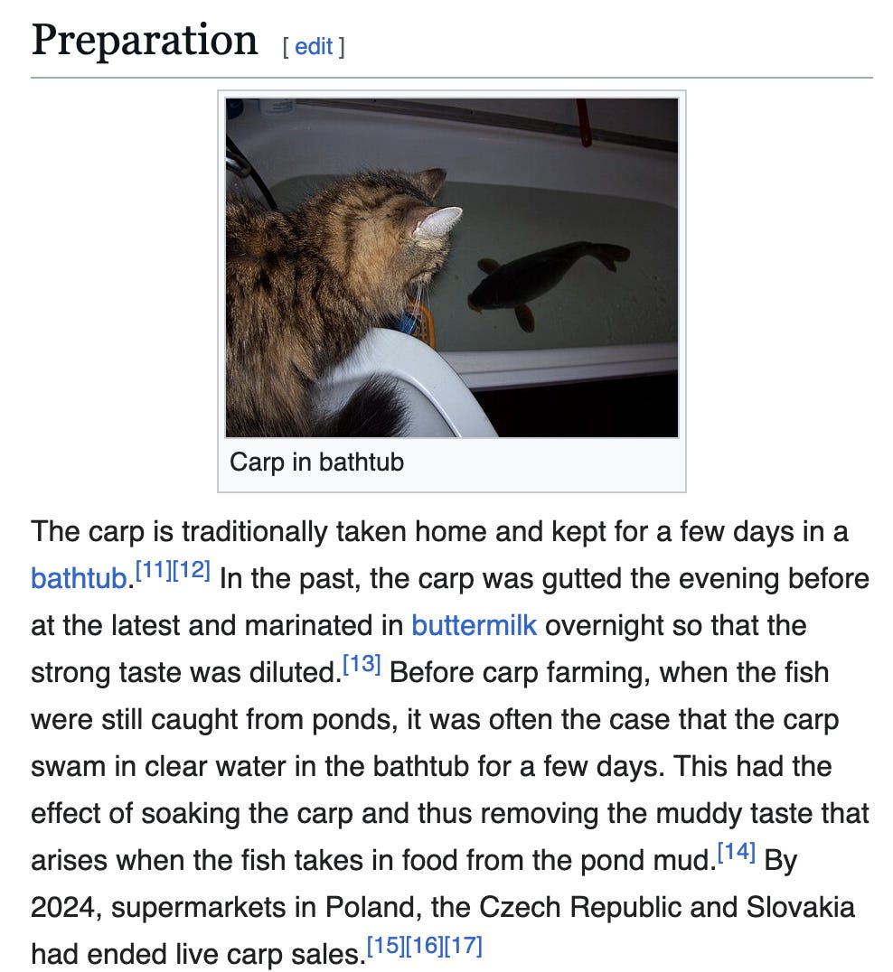 club cinnamon's december newsletter - by sophie cat blake