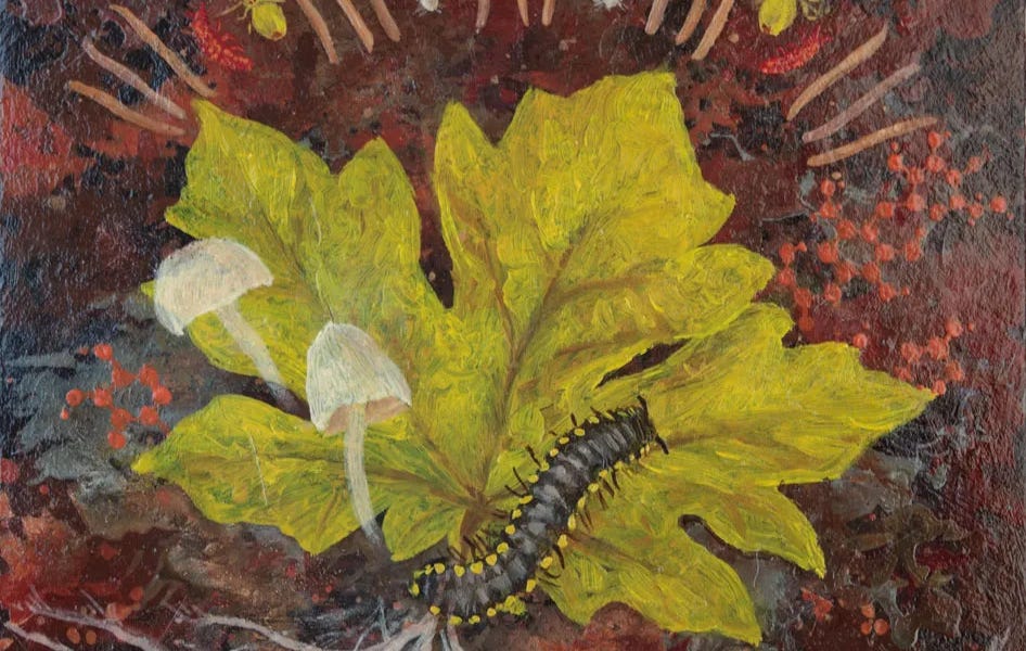 The Centipede Is Born Without Legs - by Bence Ádók